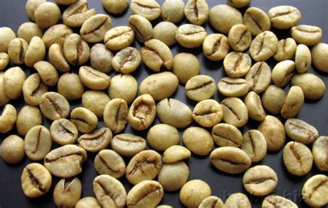 印尼爪哇罗布斯塔生豆indonesia Java Robusta 中国咖啡网