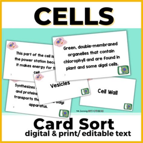 Parts Of A Cell Sort Cell Activity By The Learning Hypothesis Store