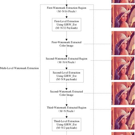 flowchart of extraction of the proposed mrwm download scientific diagram