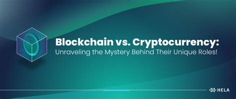 Blockchain Vs Cryptocurrency Function And Differences Hela