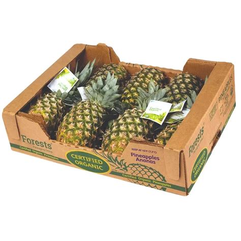 Pineapples Fruit Shipping Carton Packaging Box Export Boxes Cartons Box