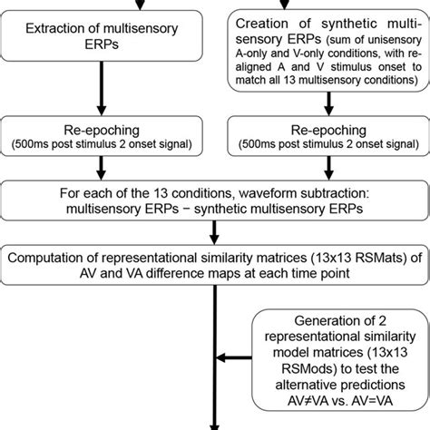 Eeg Data Analysis Pipeline Download Scientific Diagram