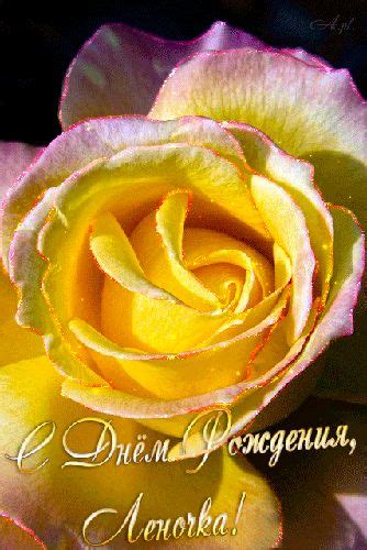 Леночке в день Рождения поздравления Открытки с именами Красивые цветы Желтая роза