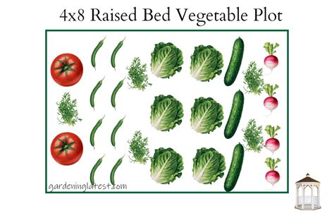 4x8 Raised Bed Layout Ideas For A Vegetable Garden Gardening Latest