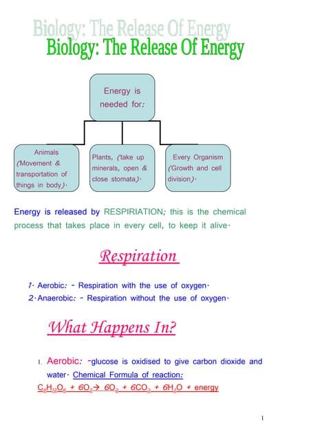 Biological Examples Of Diffusion Ppt Physics Science