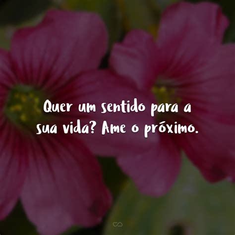 Amor Ao Proximo Frases