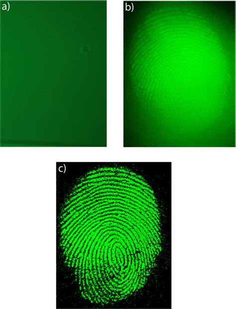 Unveiling Hidden Prints Optically Stimulated Luminescence For Latent Fingerprint Detection Heliyon