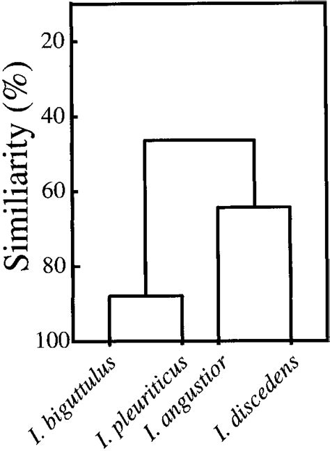 Hierarchical Cluster Analysis Using Measured Variables Ratios Of Download Scientific Diagram