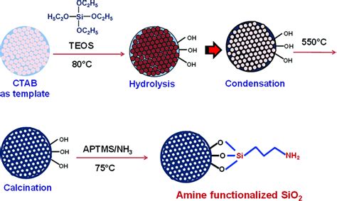 Synthesis And Functionalization Of Mesoporous Silica Nanoparticles Download Scientific Diagram
