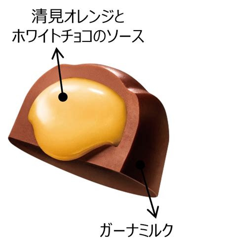 【新作お菓子】とろ～りショコラソースが溢れ出す「清見オレンジ」「生キャラメル」など秋冬仕立てのプレミアムガーナ新発売🍫🤎 Nom De