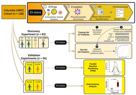 Phospho Proteomics Analysis Service Mtoz Biolabs