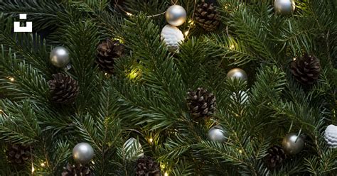 장식과 조명 조명이 있는 크리스마스 트리의 근접 촬영 사진 사진 Unsplash의 무료 크리스마스 이미지