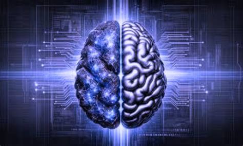 Understanding The Needs Of AI Bias Causes And Solutions Rise Of AI