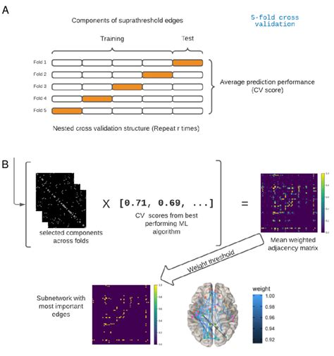 Illustration Of The Process Employed For The Classification Task A
