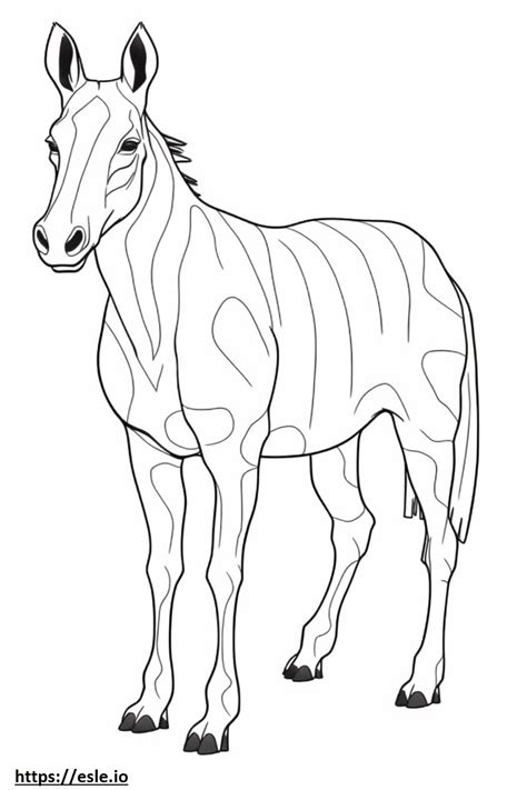 Okapi Full Body Coloring Page