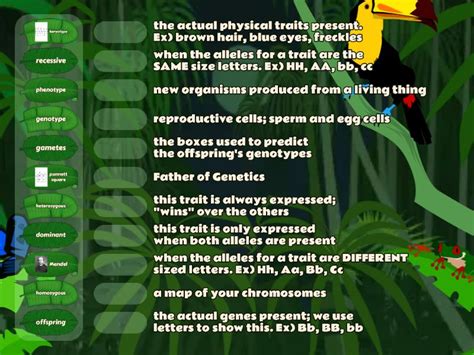 Unit 10 Genetics Vocabulary Match Up