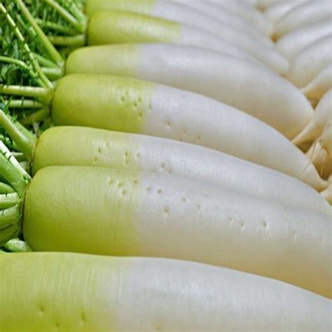 Radish Half Green Paradise Seeds Buy Seeds Online At Best Price In