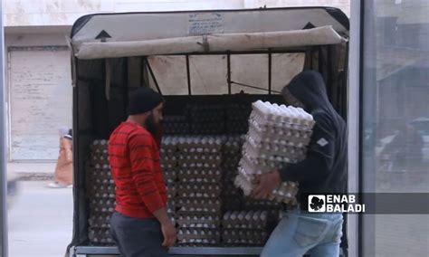 Weather Fluctuations Epidemics Drive Egg Prices Up In Idlib Enab Baladi