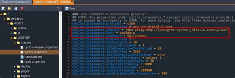 Running Cyclos Cluster On Jelastic Platform As Infrastructure Virtuozzo