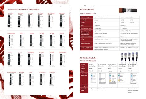 6x Dna Loading Dye Orange Electrophoresis Loading Buffer