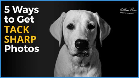 5 Simple Ways To Get Tack Sharp Photos