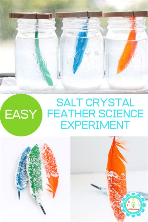 How To Make Salt Crystal Feathers Fast Less Than 1 Hour