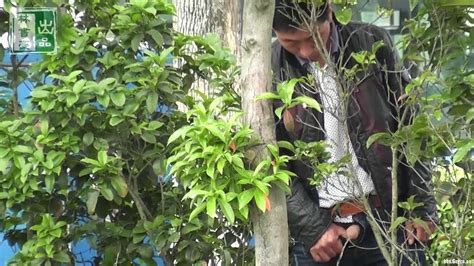 Mắt Thần [quay Lén] ĐÁi BẬy