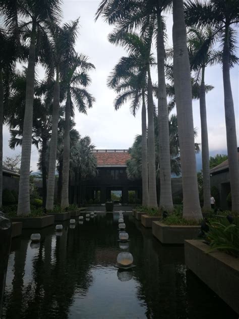 2024海南香水湾君澜度假酒店·桃源小馆中餐厅美食餐厅 度假真是非常棒的地方，安静 【去哪儿攻略】
