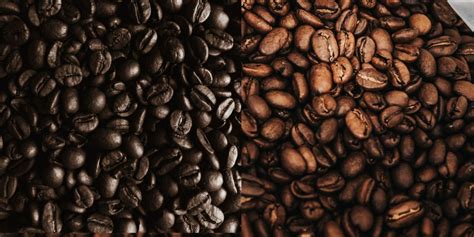 What Is The Difference Between Espresso Vs Dark Roast Coffee Bean Crazy Coffee Crave