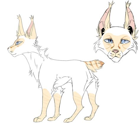 Commission 248 Custom Cat 1 By Ca55tamere On Deviantart