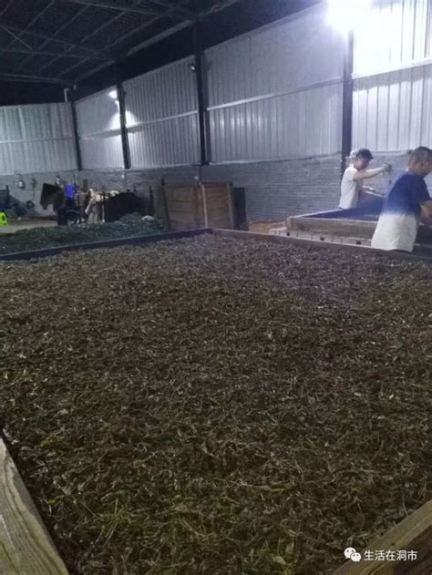 安化黑茶七星灶图片安化黑茶图片安化黑茶广告图片大全大山谷图库