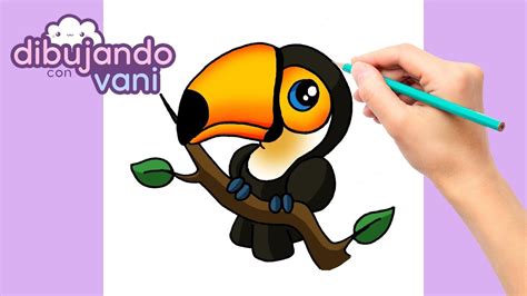 COMO DIBUJAR UN TUCAN PASO A PASO DIBUJOS PARA DIBUJAR IMAGENES