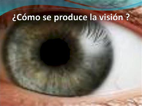 Ppt Objetivos Identificar Las Estructuras Mas Importantes Del Ojo