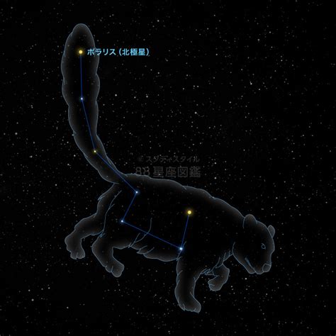 ポラリス（こぐま座α星）｜やさしい88星座図鑑