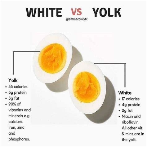 kavya yadla on linkedin facts about egg yolk 1 nutrient rich
