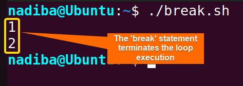 Different Loops With If Statements In Bash Examples Linuxsimply