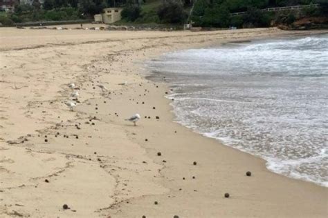 Coogee Beach Closed After Unknown Debris Found Washed Ashore Eastern