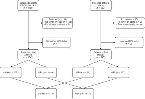 Study Sample Flowchart For Image Preprocessing The Tissue Classifier Download Scientific