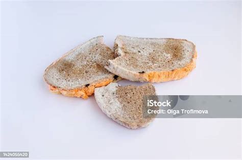 곰팡이가있는 오래된 빵 조각 버릇없는 빵에 곰팡이가 생깁니다 음식물 쓰레기 0명에 대한 스톡 사진 및 기타 이미지 0명