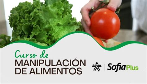 Curso De Manipulación De Alimentos 2024