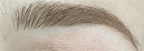 Microblading Michigan Fine Strokes Microblading