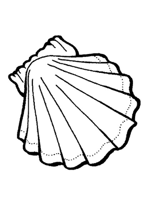 How To Draw A Conch Shell Cliparts Co