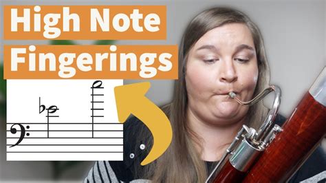 Highest Note On A Bassoon At Rocio Wilds Blog