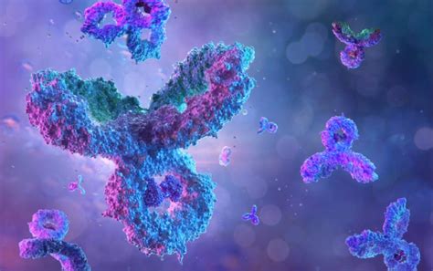 Elisa Assay Development And Method Development Step By Step Guide