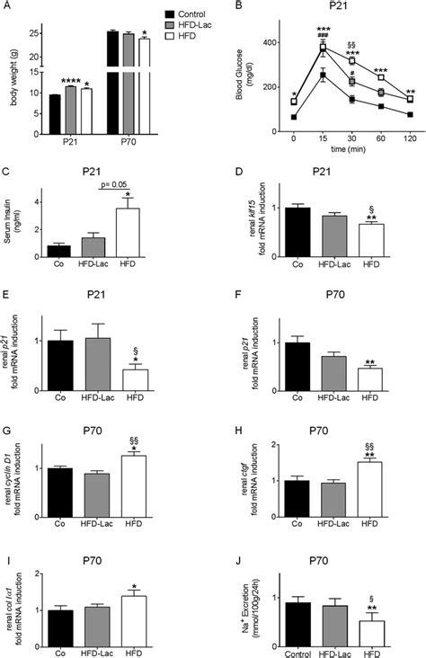 Maternal Obesity But Not Rapid Postnatal Weight Gain By Hfd During
