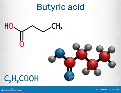 Butyric Acid Butanoic Acid Short Chain Fatty Acid Molecule Esters And