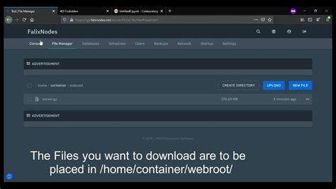 Tutorial Falixnodes Use Nginx For Downloading Backups And Files