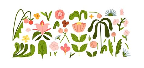 손으로 그린 벡터 추상 그래픽 클립 아트 일러스트 컬렉션 컬렉션 꽃과 열대 잎의 추상적 인 보호 자연 모양과 구성의 세트 현대 자연 디자인 식물원 0명에 대한 스톡 벡터