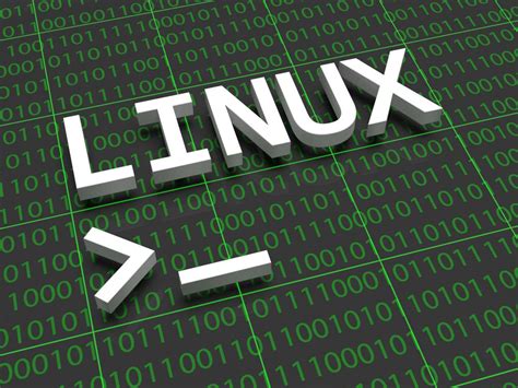 Aprender Linux Guia Passo A Passo Para Um Iniciante Entrar No Mundo