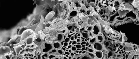 Successful Success Stories Inspiration For Your Business Pyramid Computer